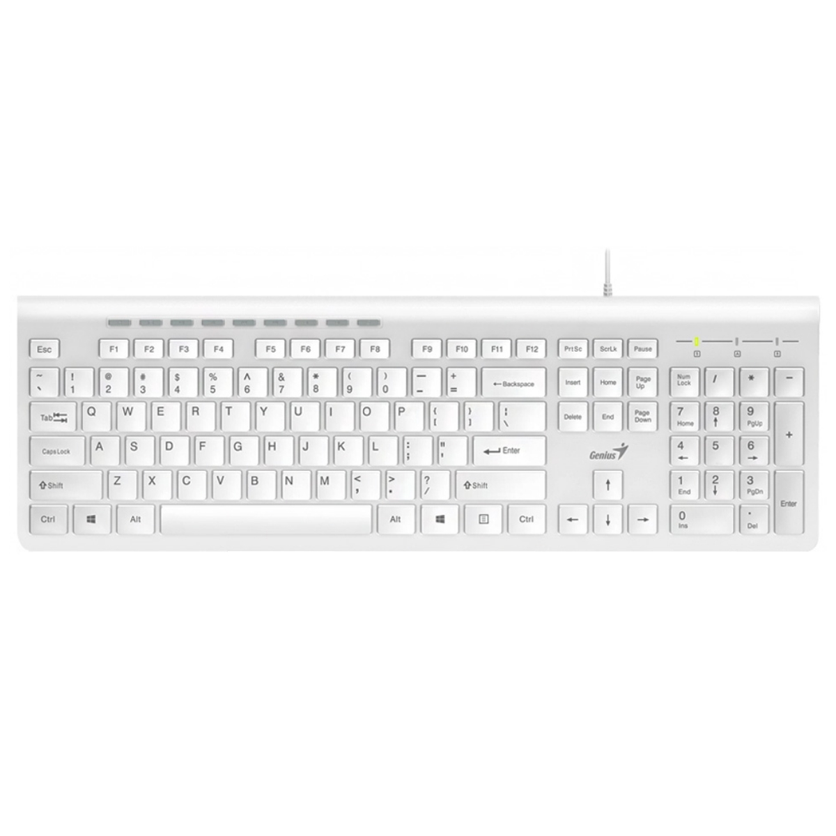 Teclado USB Smart SS-230 White Genius | Lang Tecnologia